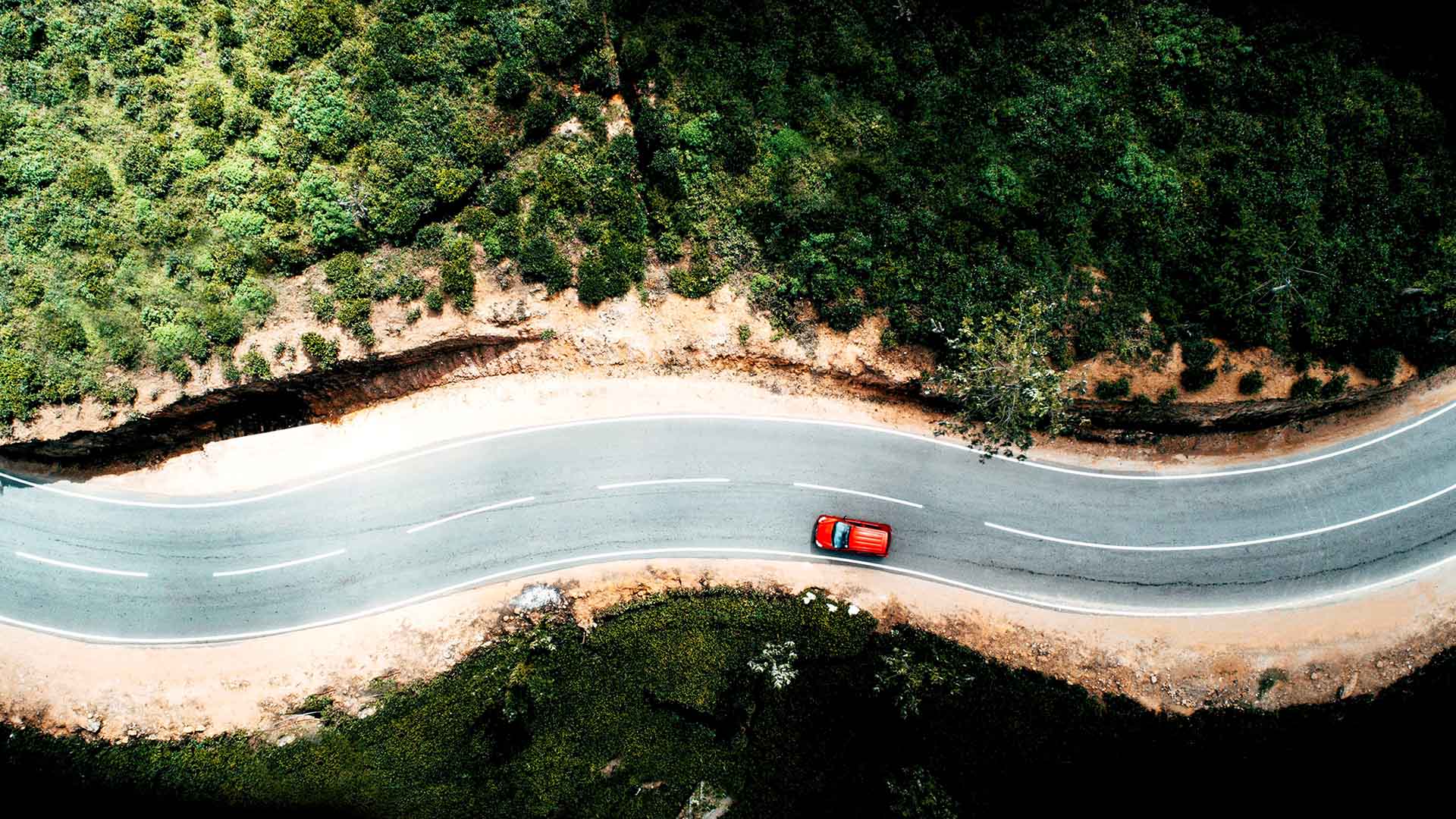 Decarbonization Partners - Net Zero | BlackRock