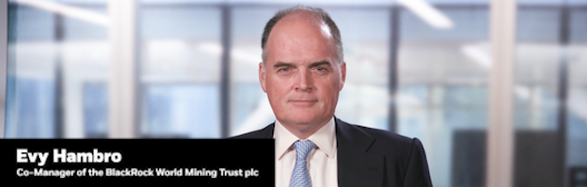 Insights | BlackRock World Mining Trust